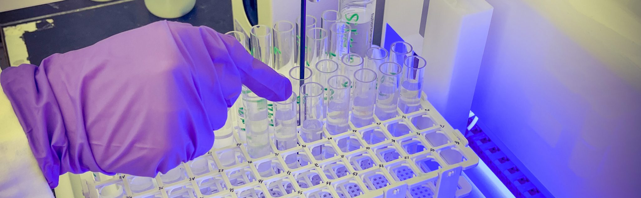 Home | Center for Environmental Sciences and Engineering