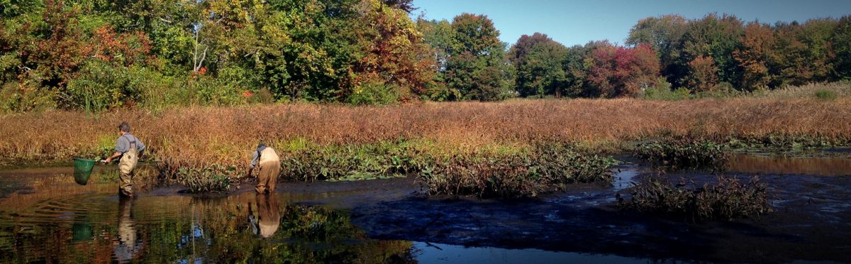 Environment-CT | Center for Environmental Sciences and Engineering